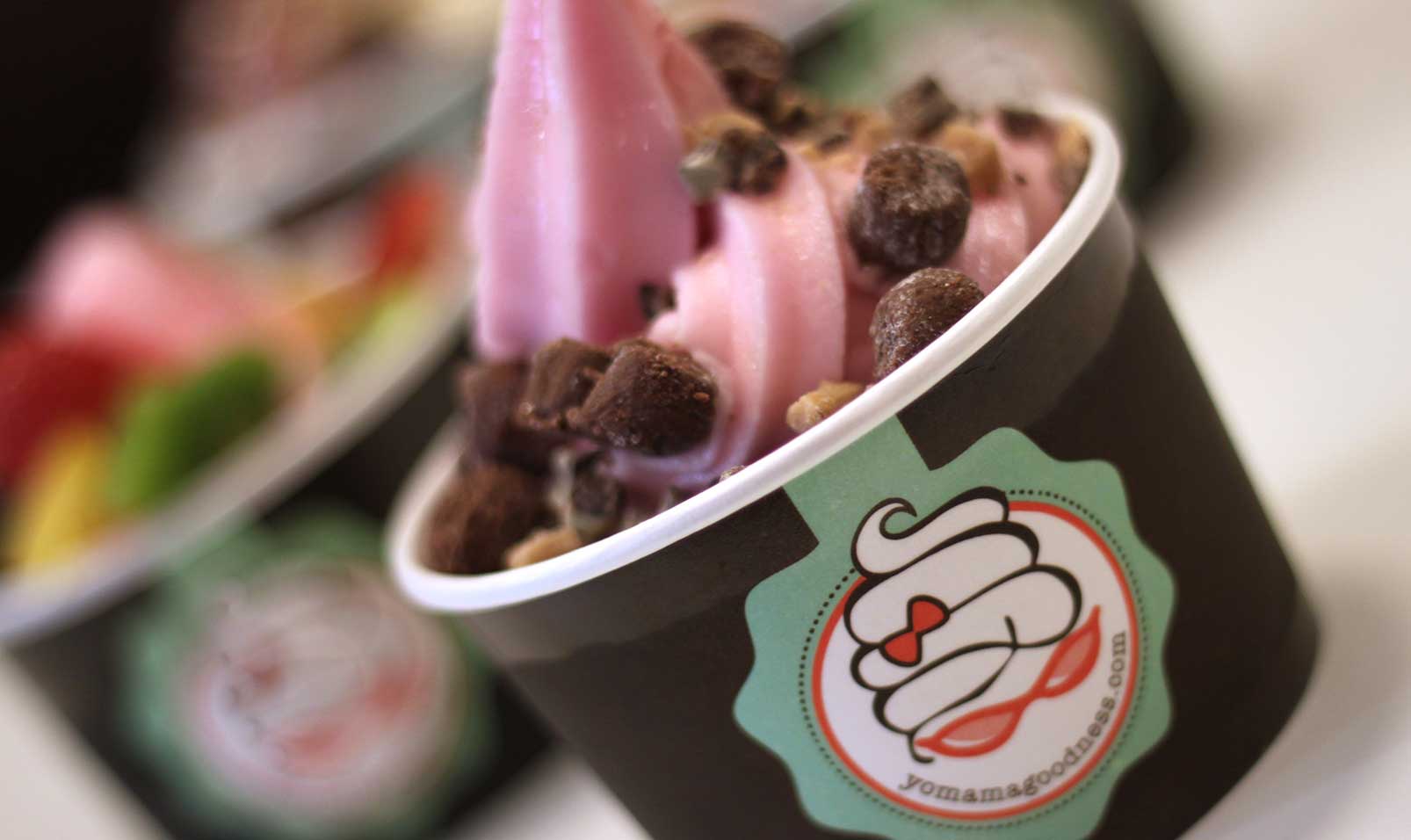 Scratch Ice Cream - Yo Mama!